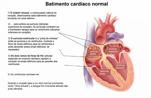 O ritmo cardíaco normal e anatomia | Questões de fibrilhação auricular
